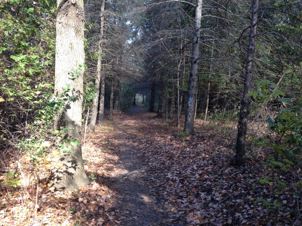 Fanshawe Park - Lake Trail - Chase March - Official Site