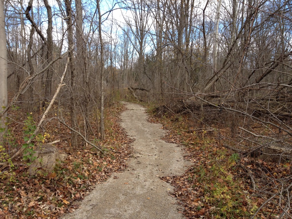 Warwick Conservation Area - Chase March - Official Site