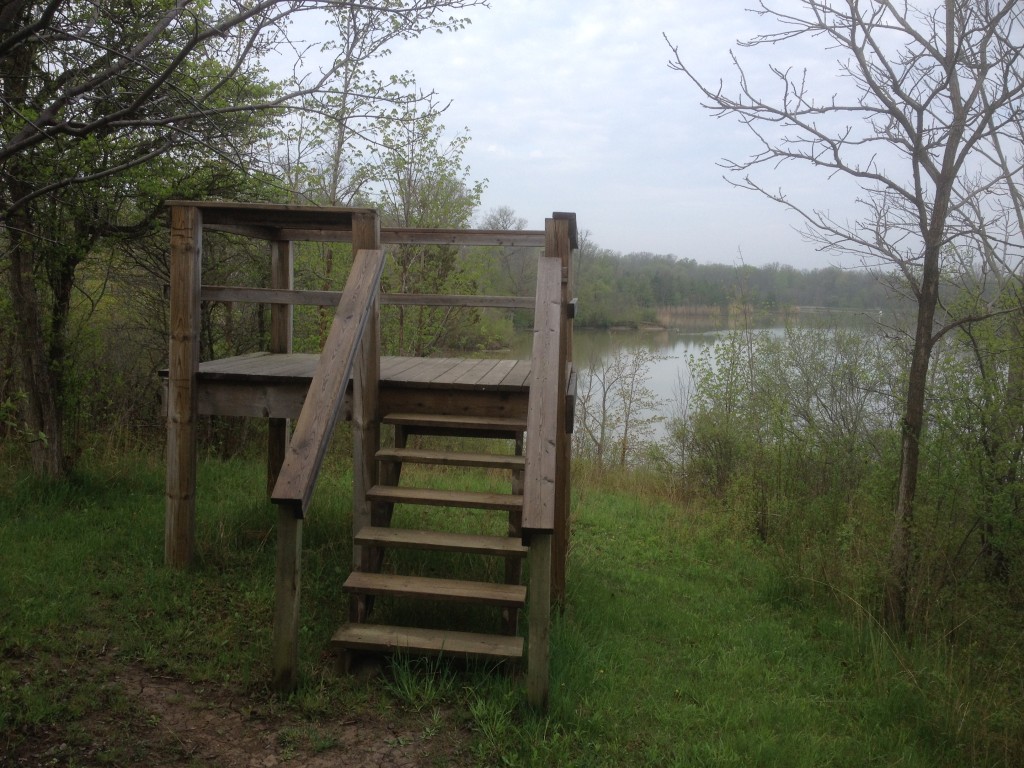 Lorne C. Henderson Nature Trail - Chase March - Official Site