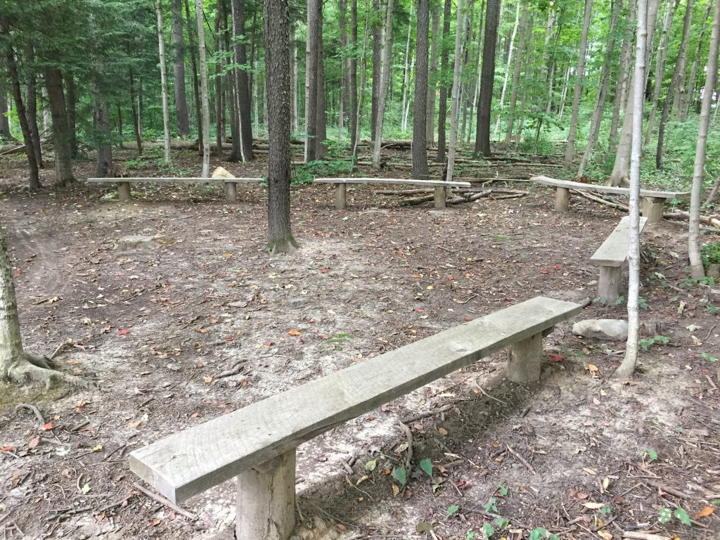 MacNaughton Morrison Trail Run - Chase March - Official Site