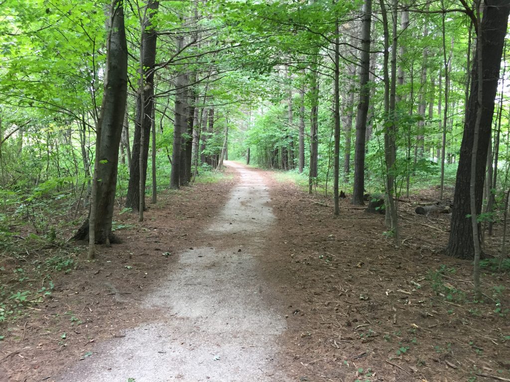 MacNaughton Morrison Trail Run - Chase March - Official Site